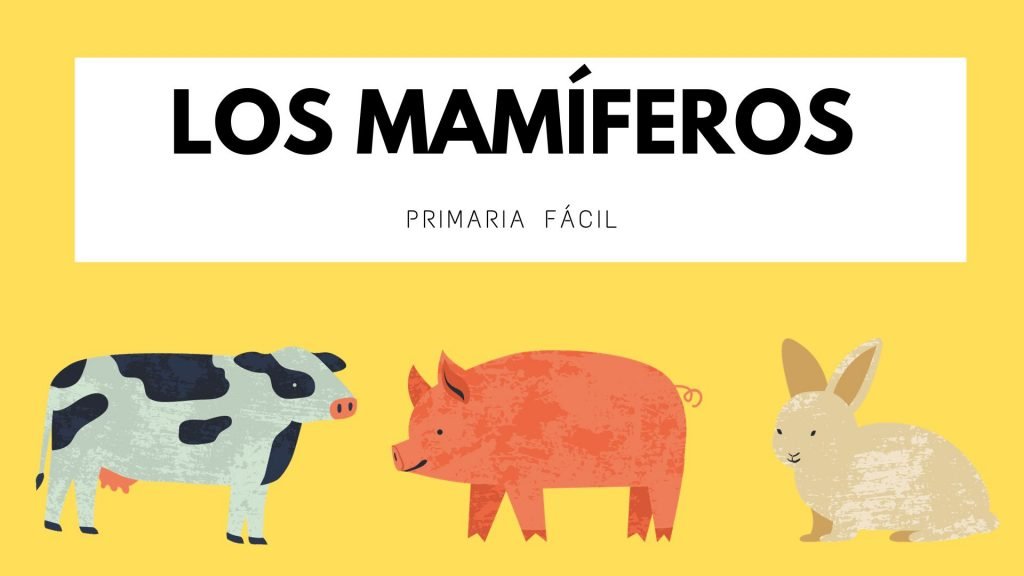 Cuáles son los Animales MAMÍFEROS?