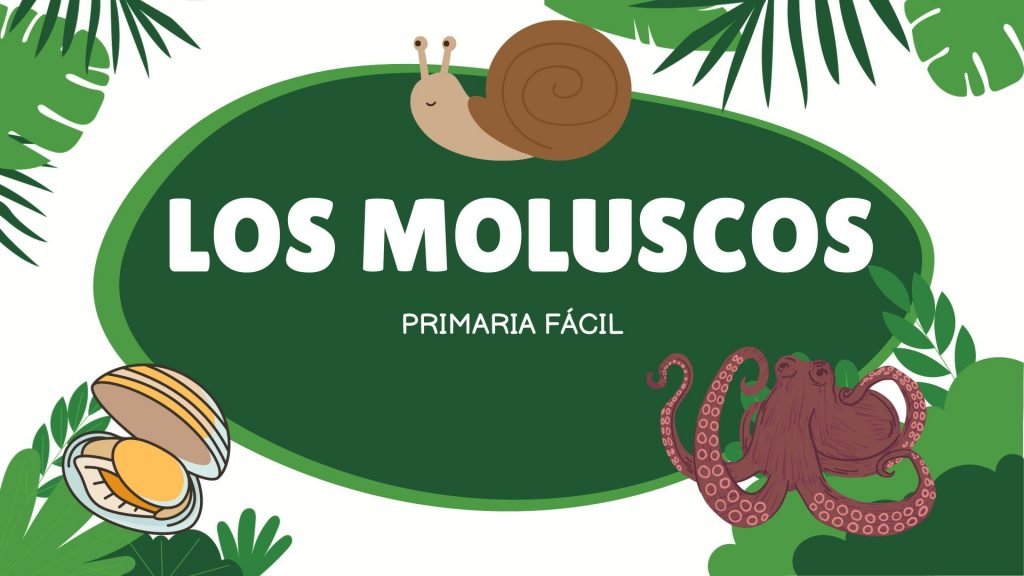 Qué son los Moluscos? - Primaria Fácil